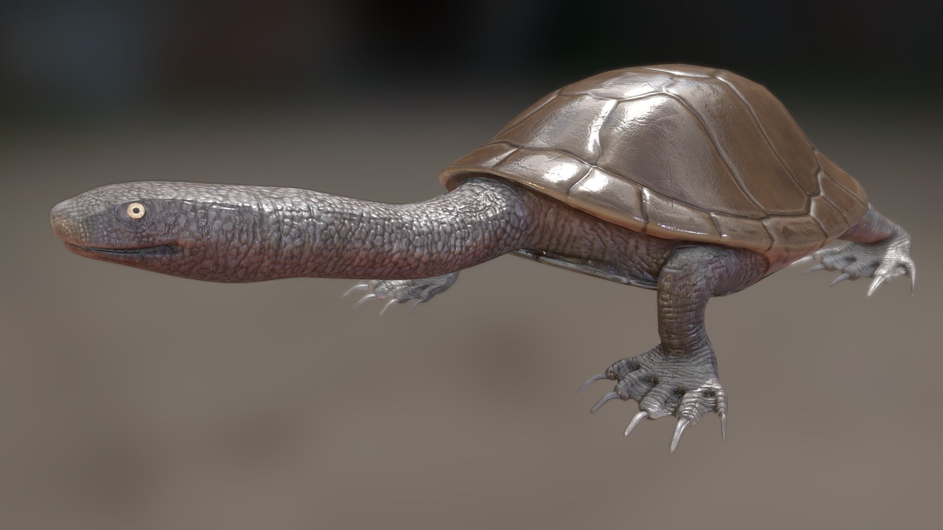 Turtle work-in-progress - 3D model by 3dsam79 [dc7ccb9] - Sketchfab