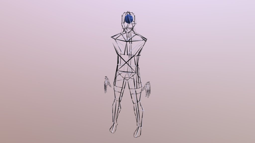 Human Skecth - Download Free 3D model by InSilico.uk (@vrinsilico ...