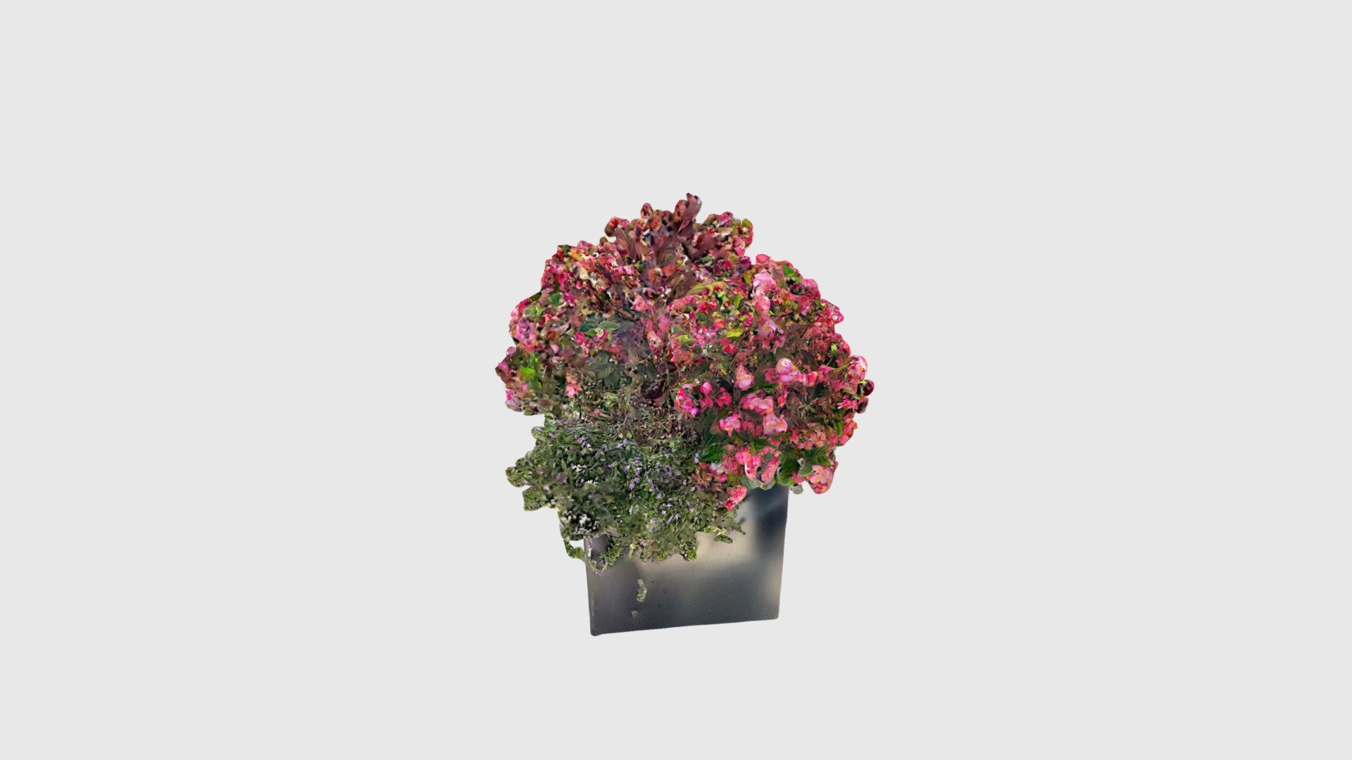 Outdoor Floral Display - Download Free 3D model by Digital Archaeology ...