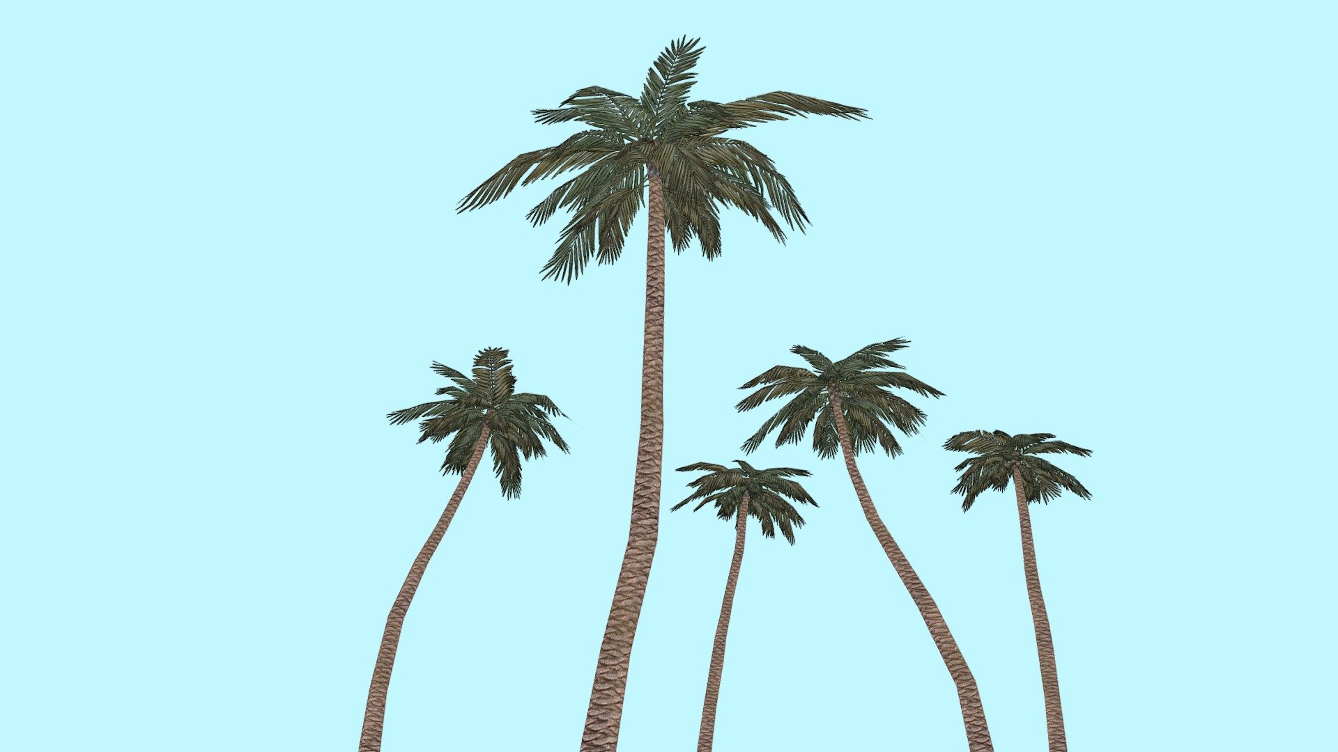 Realistic Palm Tree Low Poly - Download Free 3D model by Free Models ...