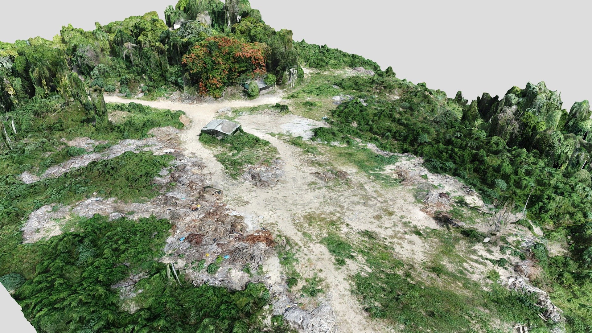 Botanical Woods - 3D model by ITERAGEO [dc8eb50] - Sketchfab