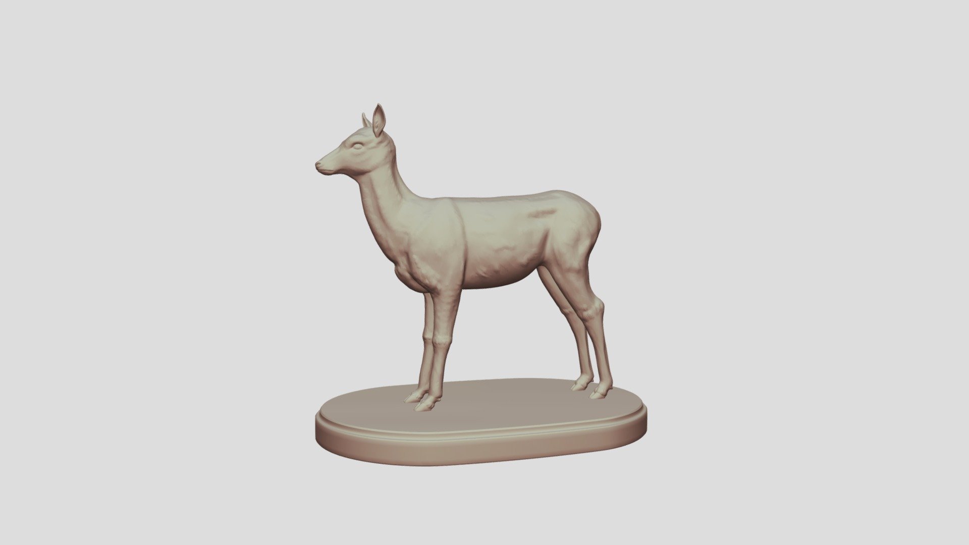 Tabletop Doe Model - 3D model by Snowball_from_Earth [dc909dd] - Sketchfab