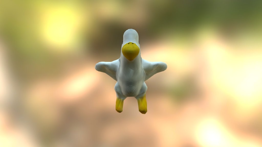 Duck - 3D model by redansteve [dc91cda] - Sketchfab