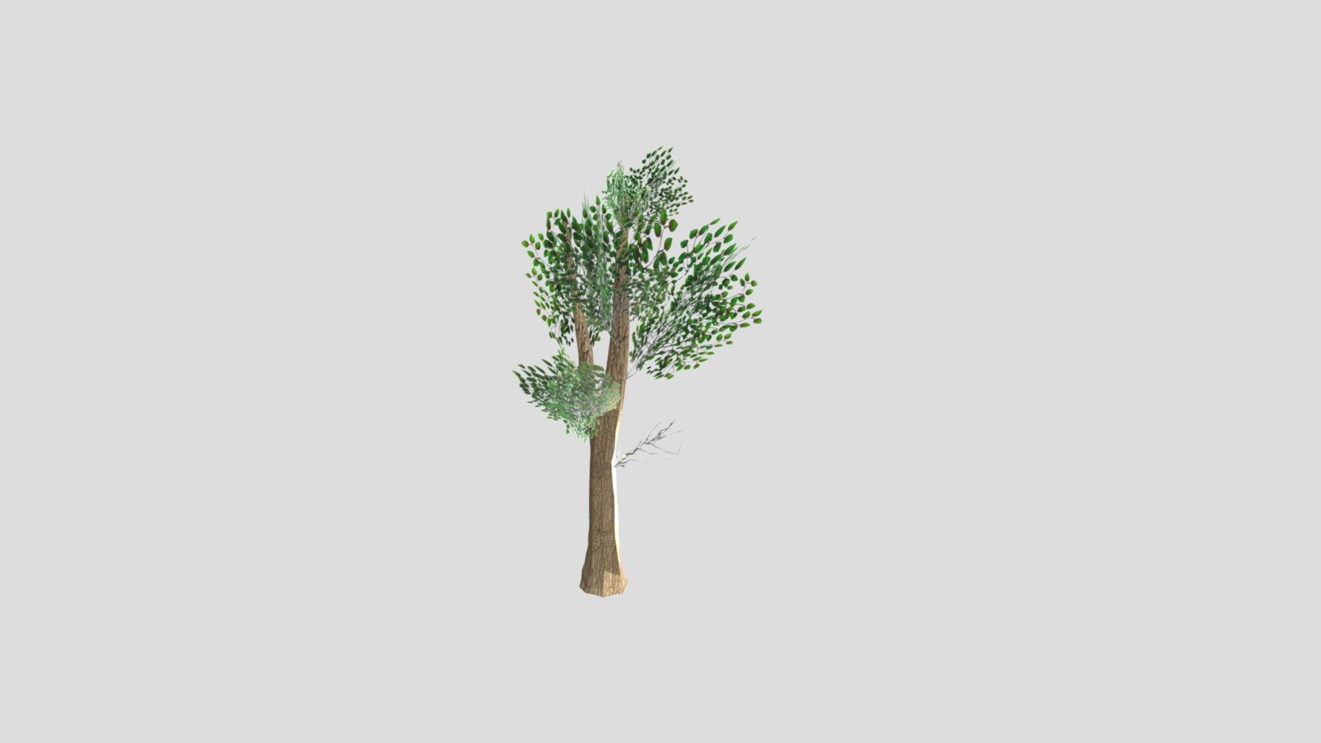 A Forest Tree! - Download Free 3D model by Mysis The Cat ...