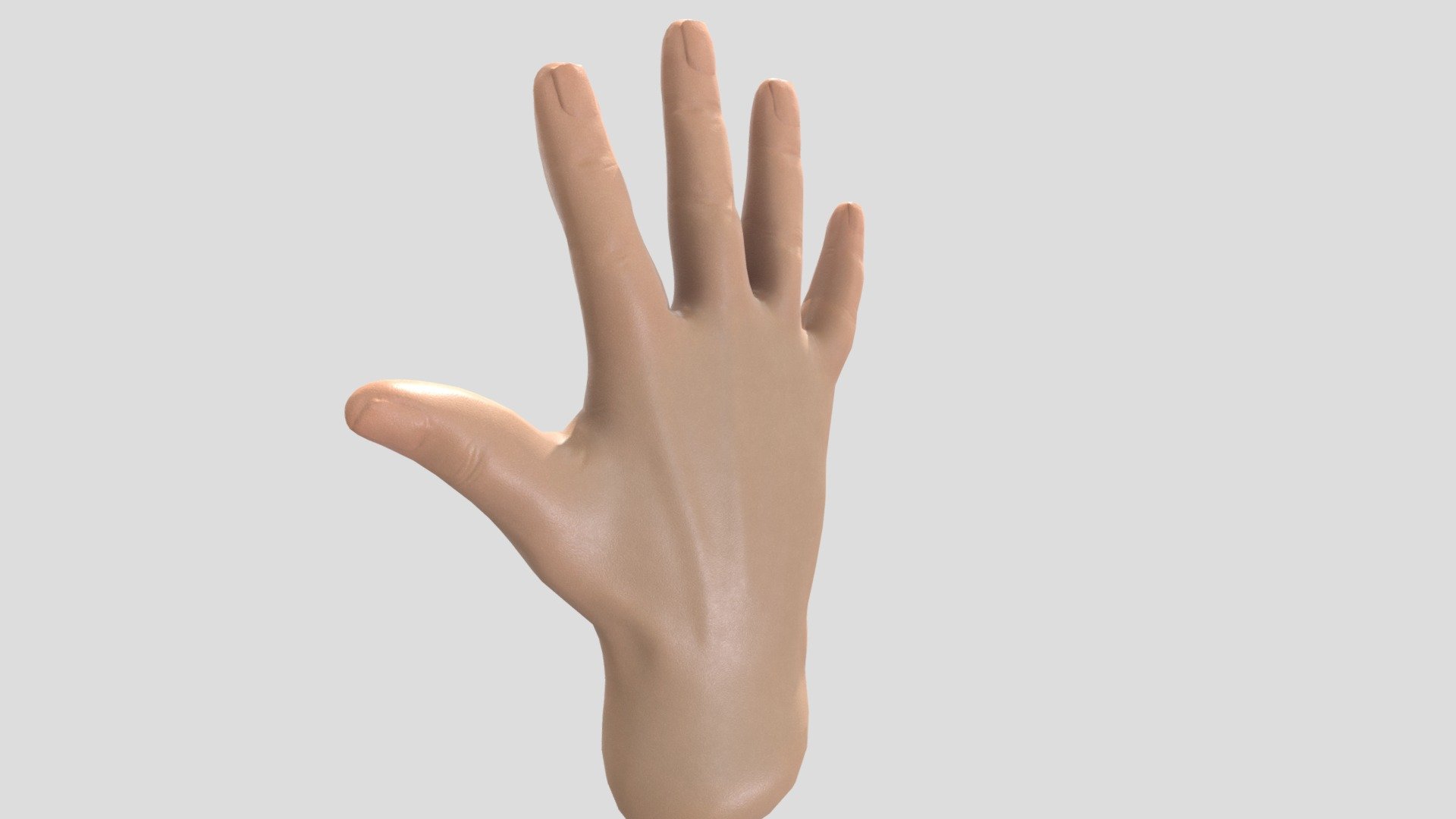 Hand Sculpt - 3D model by Abbarino [dc95da8] - Sketchfab