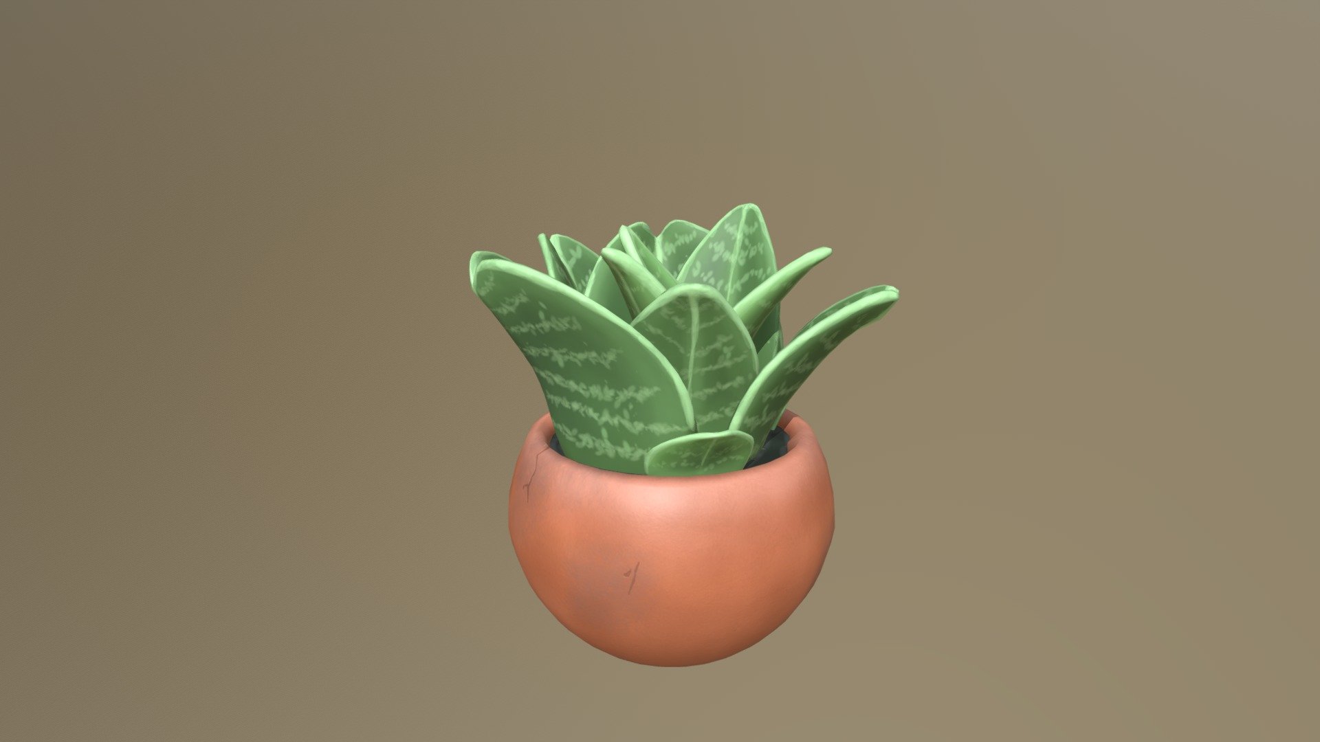 Aloe - 3D model by cocomeh [dc971a5] - Sketchfab