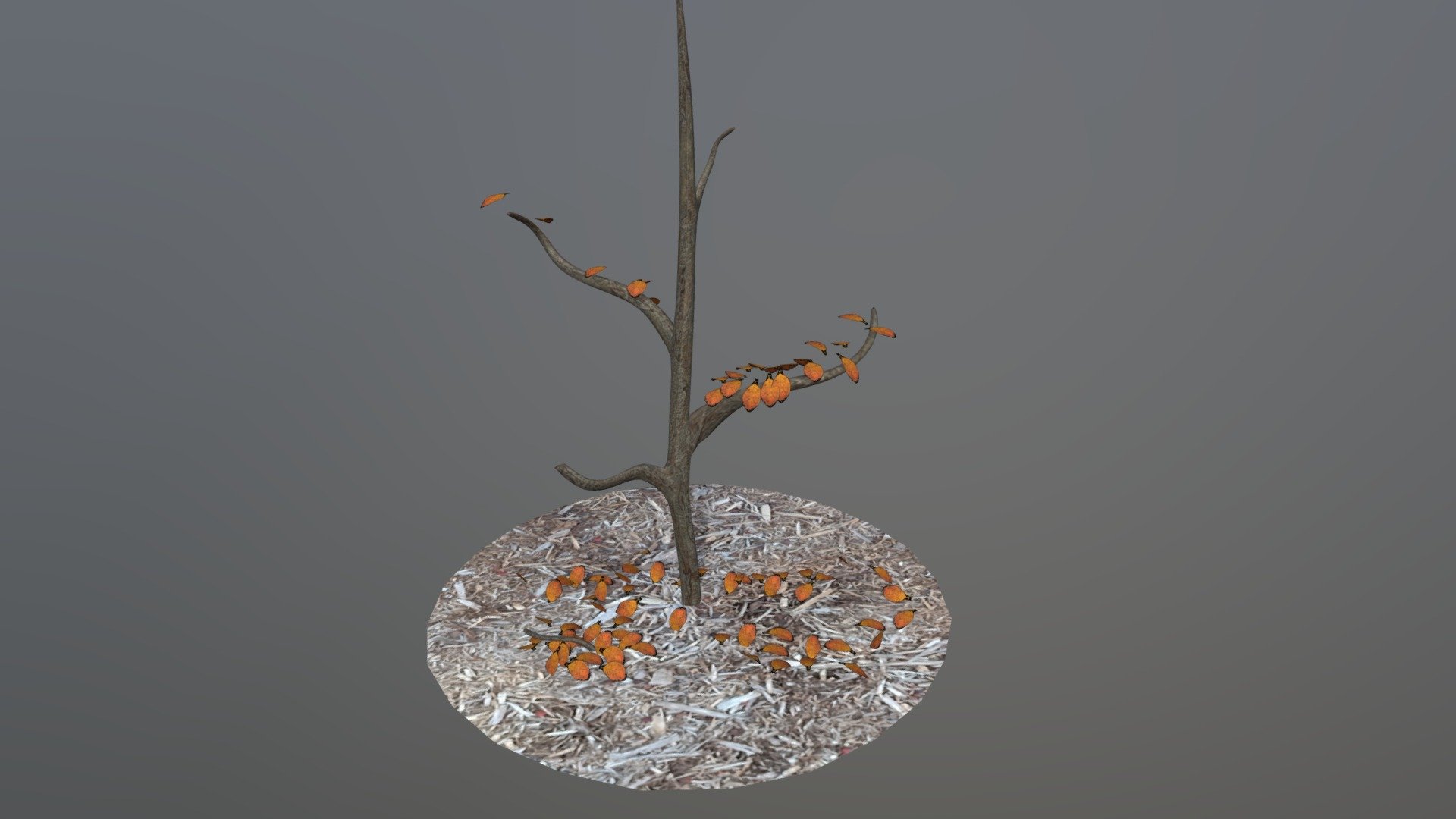 Dead Tree - 3D model by hdorsch [dc99305] - Sketchfab