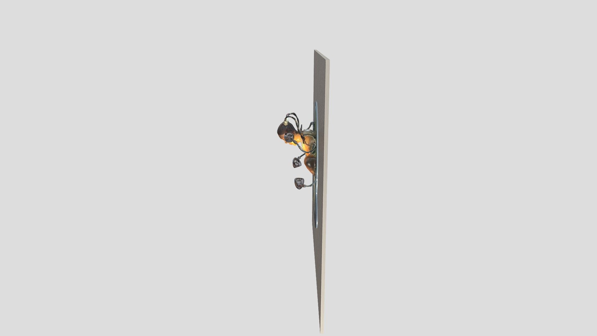Rest, boomers - 3D model by studiomimesis [dc9ac17] - Sketchfab