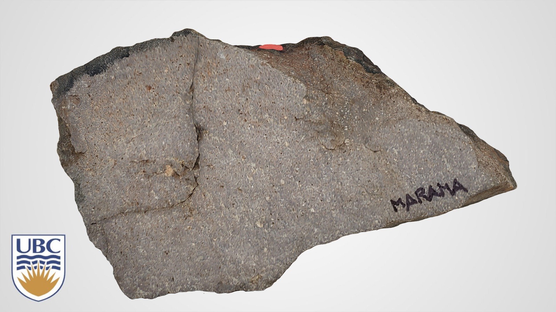 Marama - 3D model by Nichole Moerhuis (UBC Geology) (@Moerhuis ...