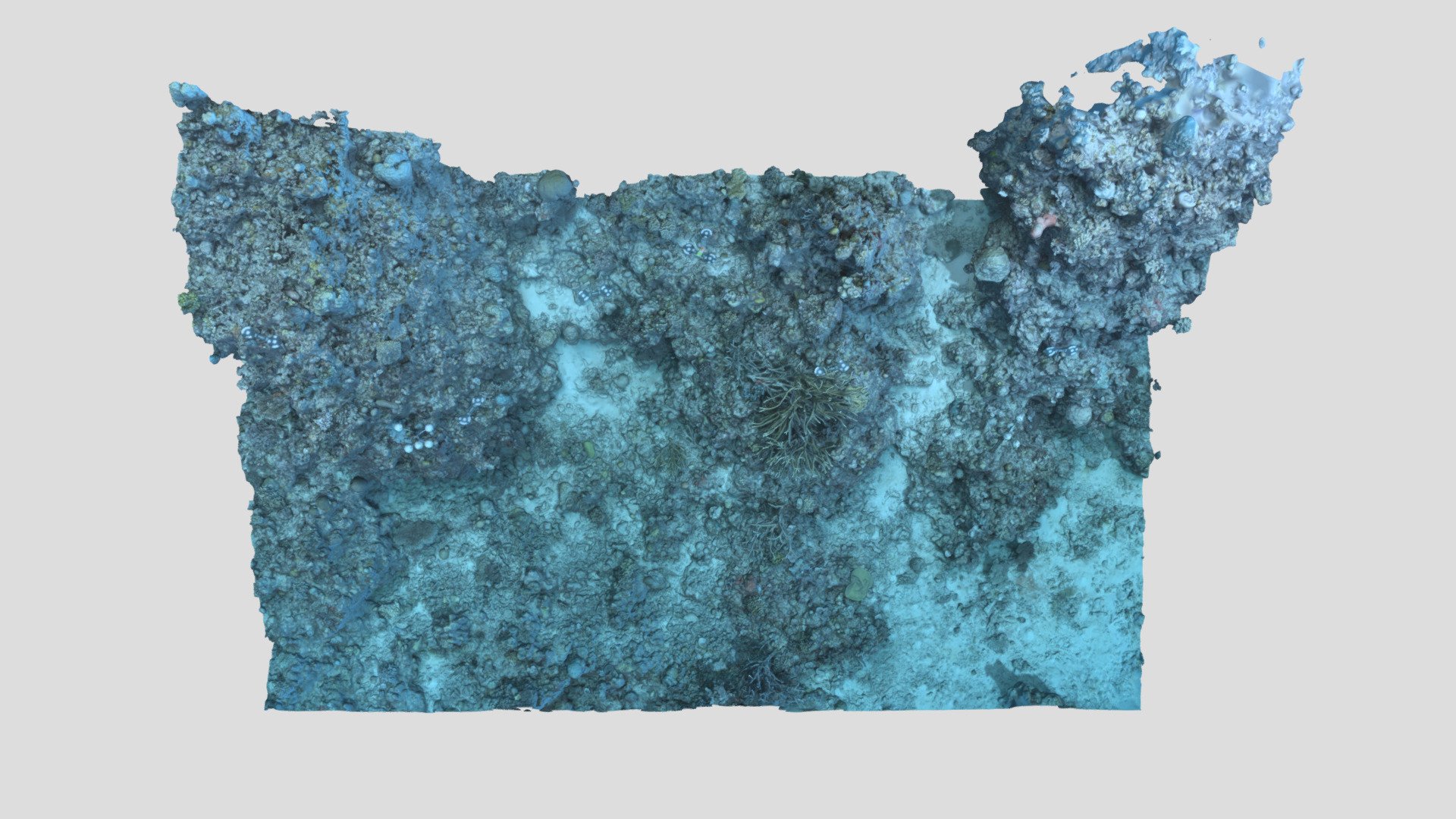 Davies_BA2D_P3_202301 - 3D model by EcoRRAP (@AIMSEcoRRAP) [dcacb50 ...