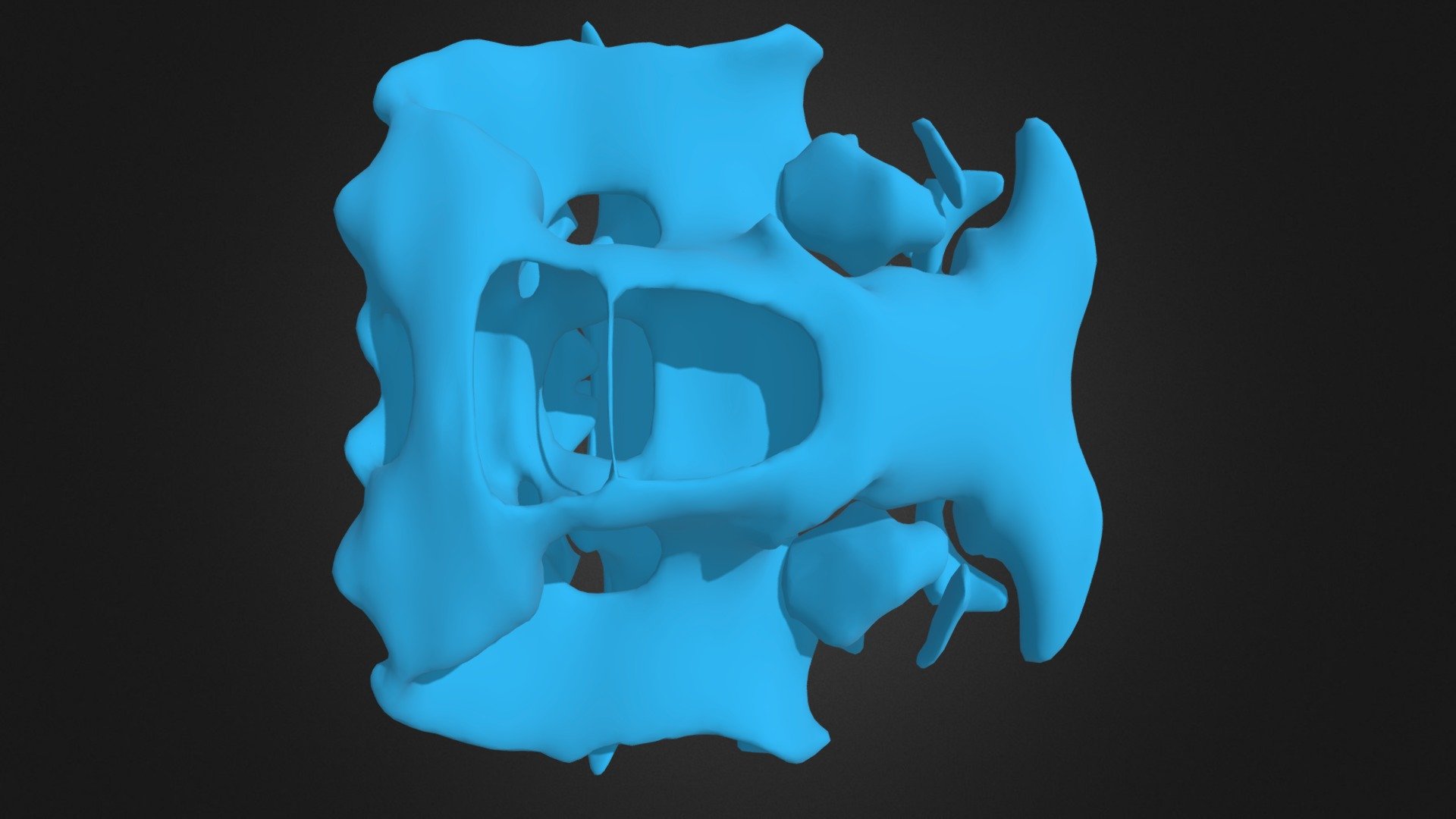 Eastern ghost frog larval skull - 3D model by Paul Lukas (@xenopus ...