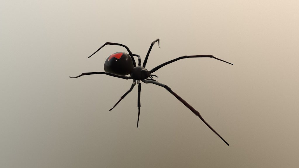 spiders - A 3D model collection by Mocheiii - Sketchfab
