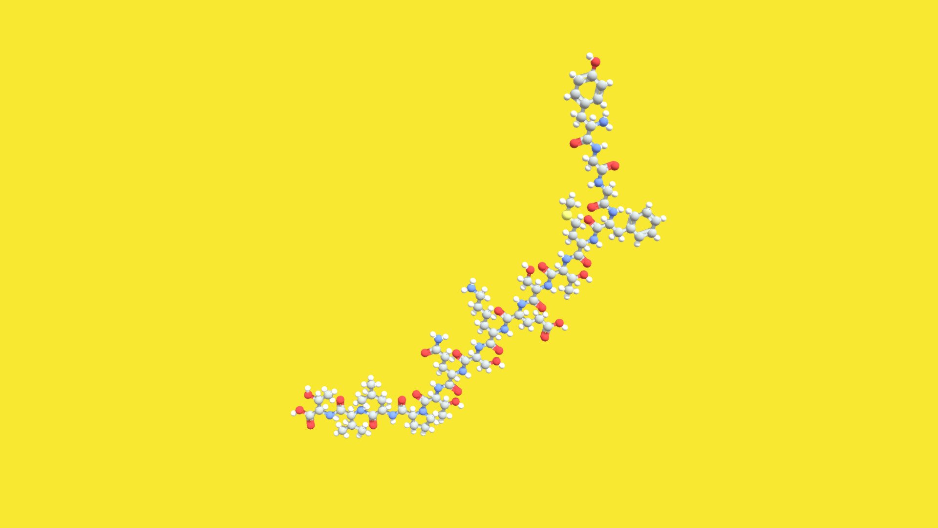 Alpha-Endorphin Peptide Hormone Molecule - Download Free 3D model by S ...