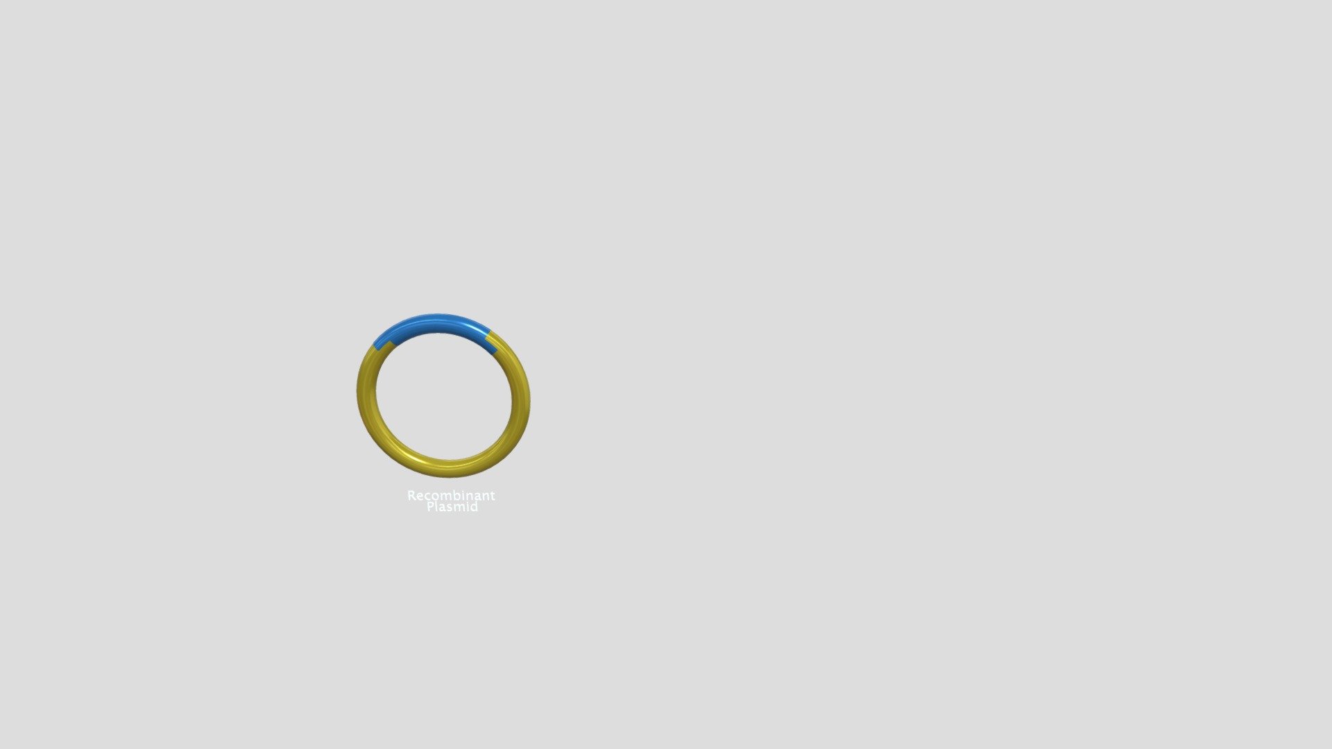 Chemical Transformation And Electroporation - 3D model by ...