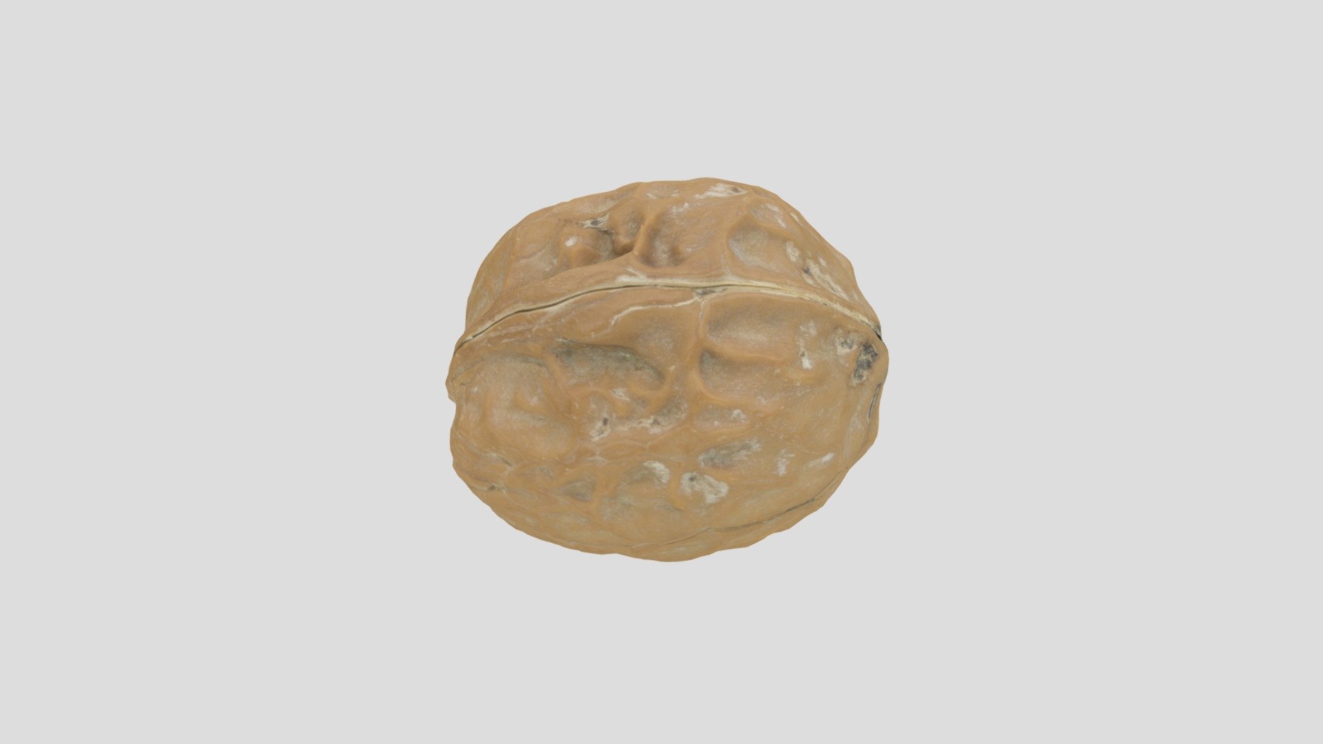 hetao - 3D model by cc4ki [dcc5256] - Sketchfab
