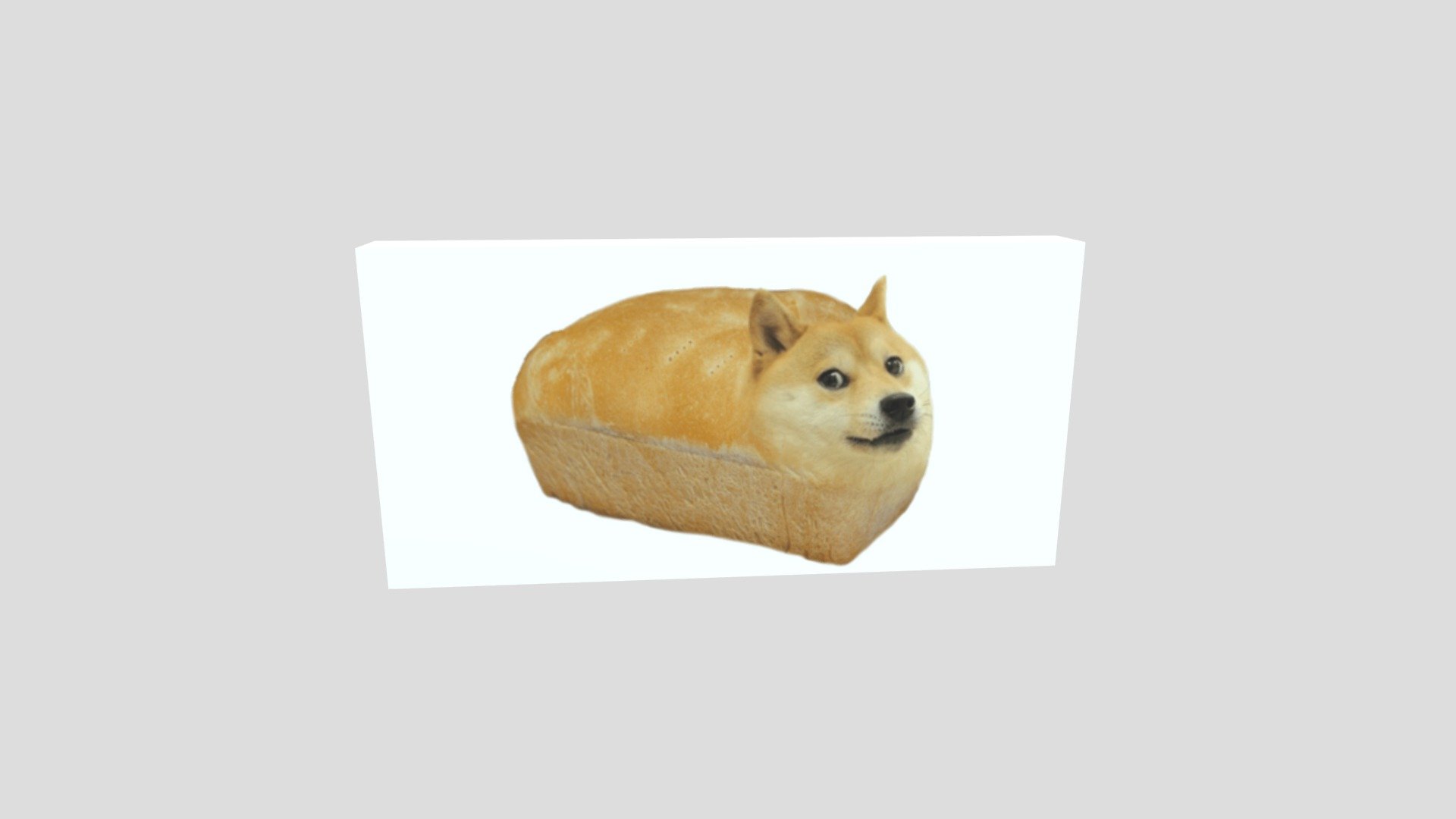 doge - Download Free 3D model by Brayden (@braydenlacorte) [dcc76e1 ...
