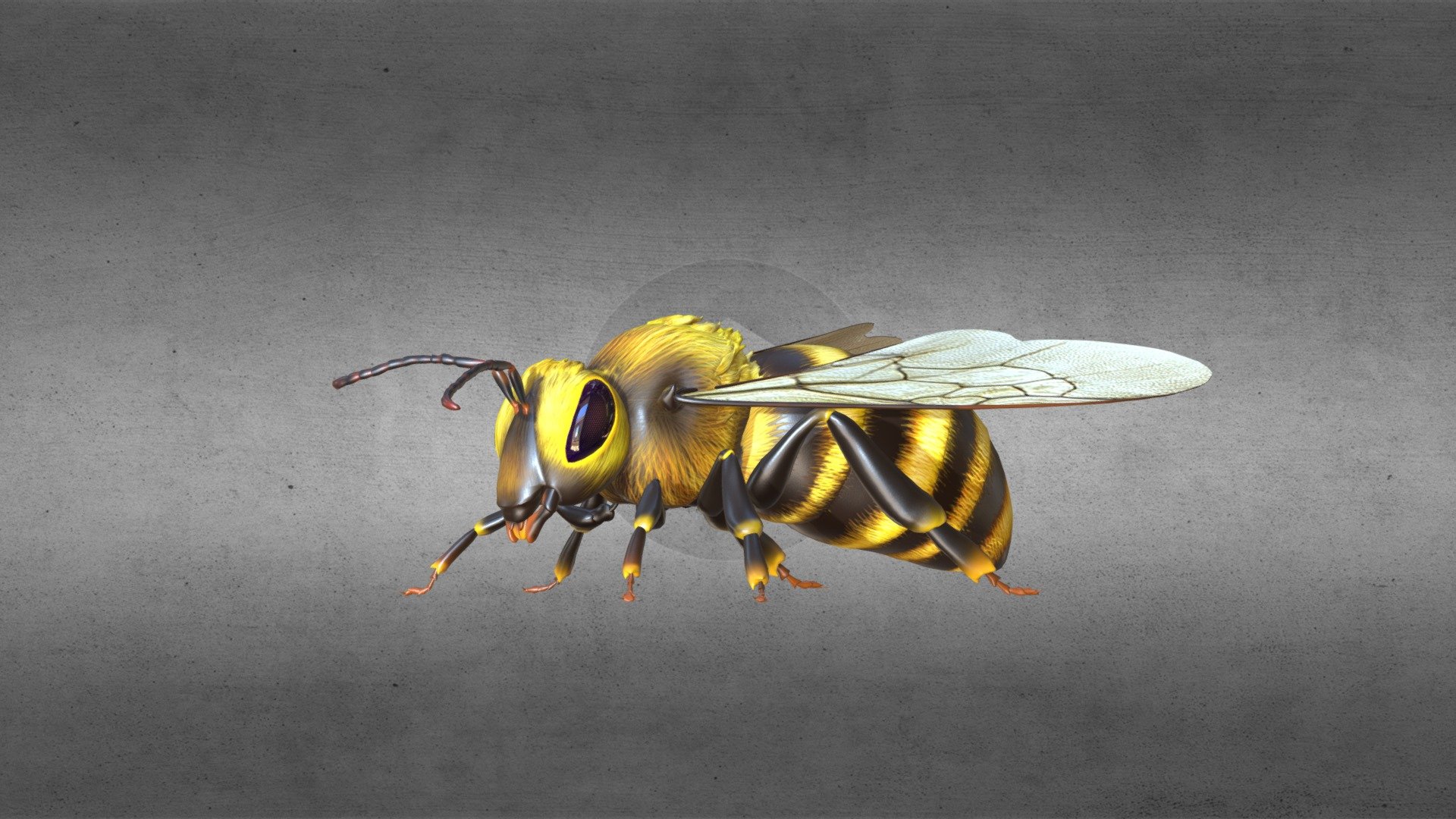 Bee (From Windows 10) - Download Free 3D model by kurinov8sergey ...
