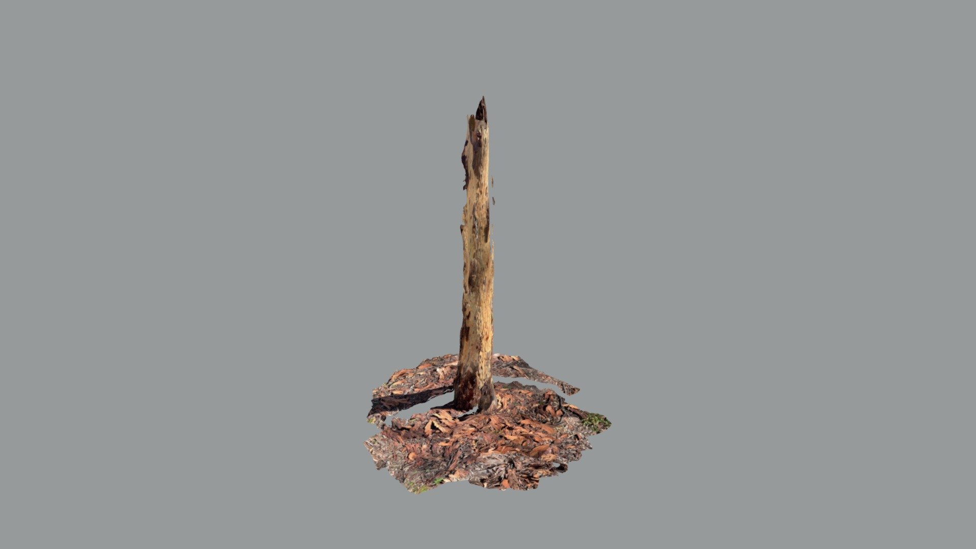Single tree - Download Free 3D model by feelab [dcc9f44] - Sketchfab