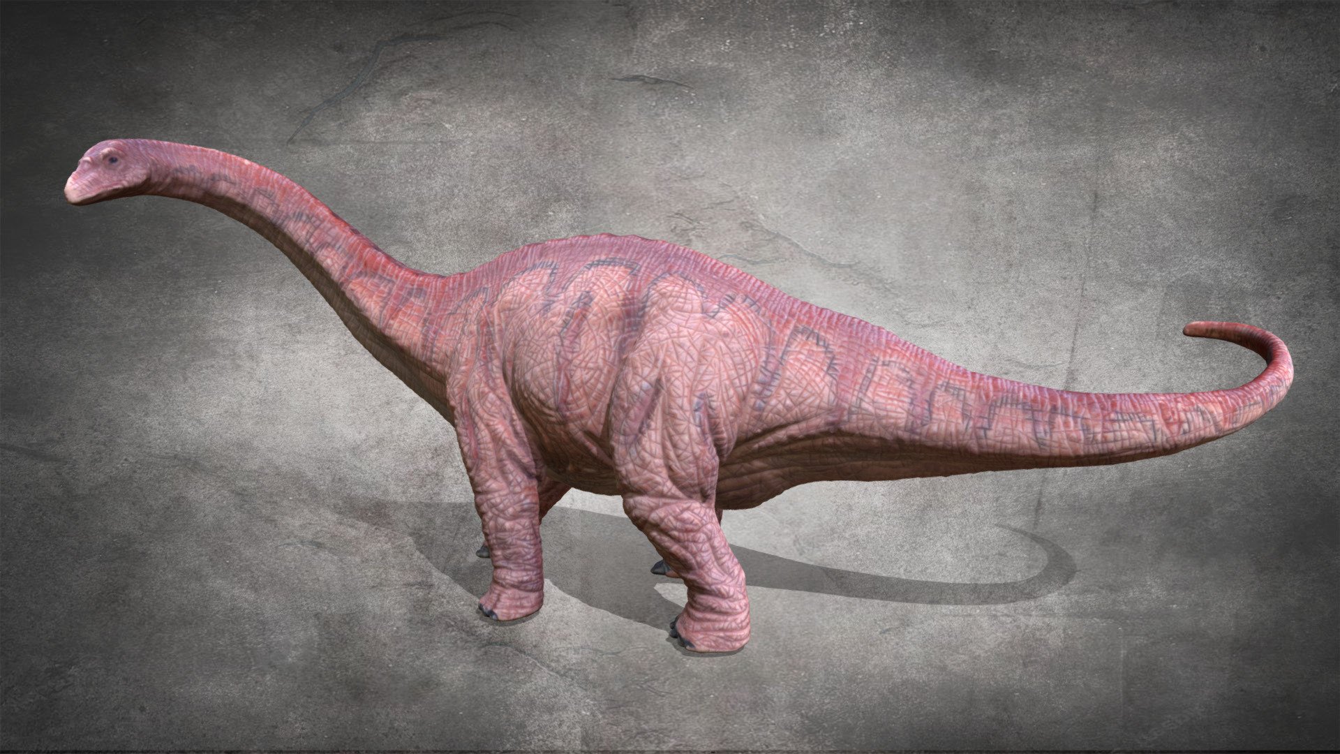 Toy Apatosaurus - Buy Royalty Free 3D model by Kai Christmann (@kai_am ...
