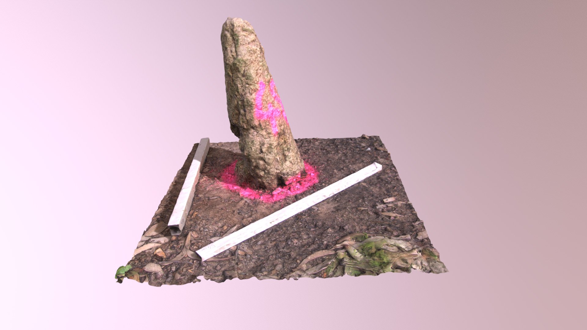 Termite mound Ms1-2016 - 3D model by pnauer [dcd8fae] - Sketchfab