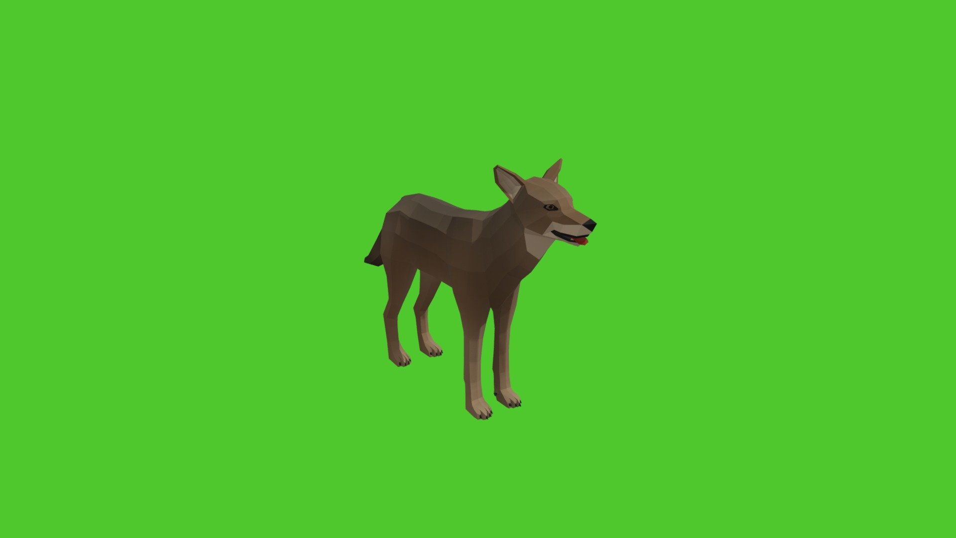 low_poly_coyote_canis_latrans - Download Free 3D model by tech.service ...
