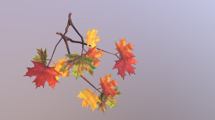 Maple-leaves 3D models - Sketchfab