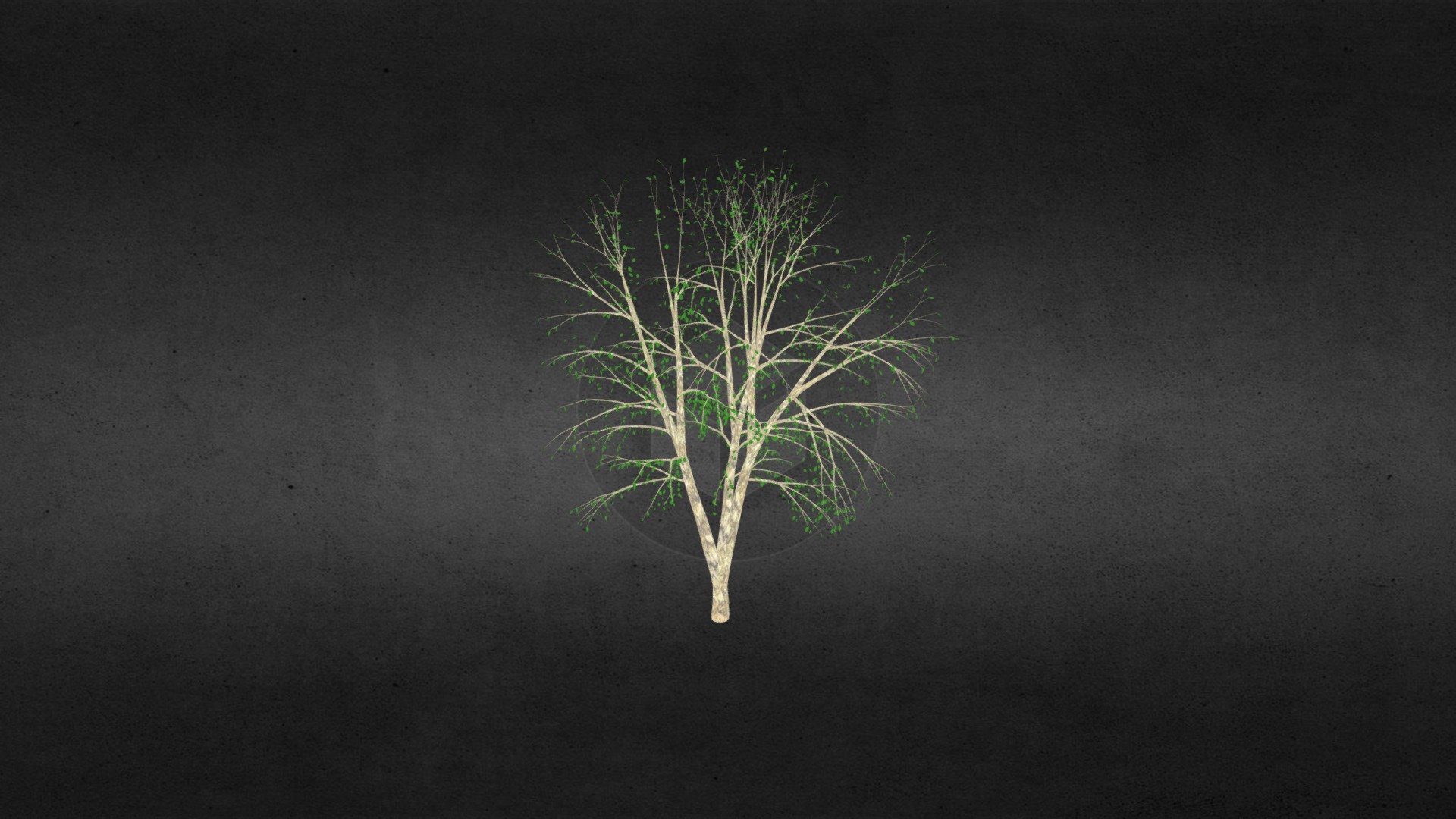 Simple Maple Tree - Download Free 3D model by iteacher [dcdb8d6 ...