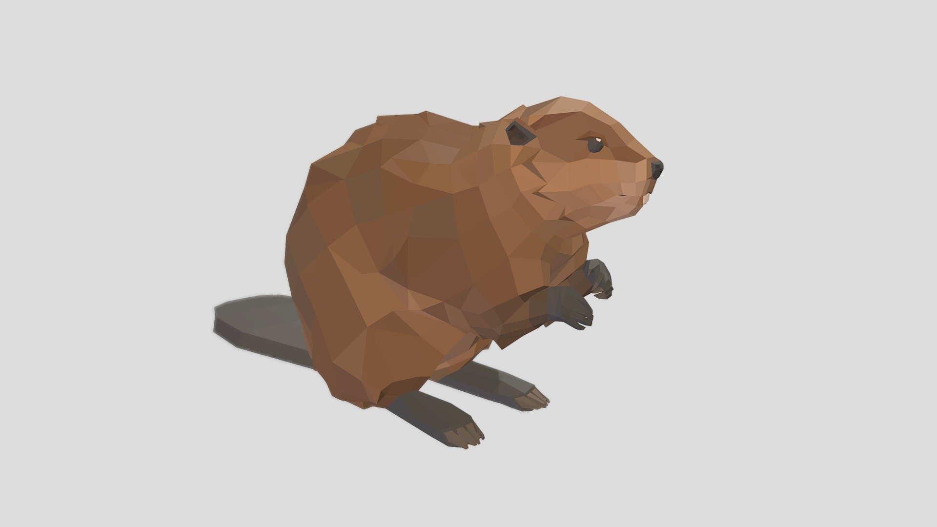 Beaver | Wisdom | Nbwaakaawin - Download Free 3D model by fluffubun ...