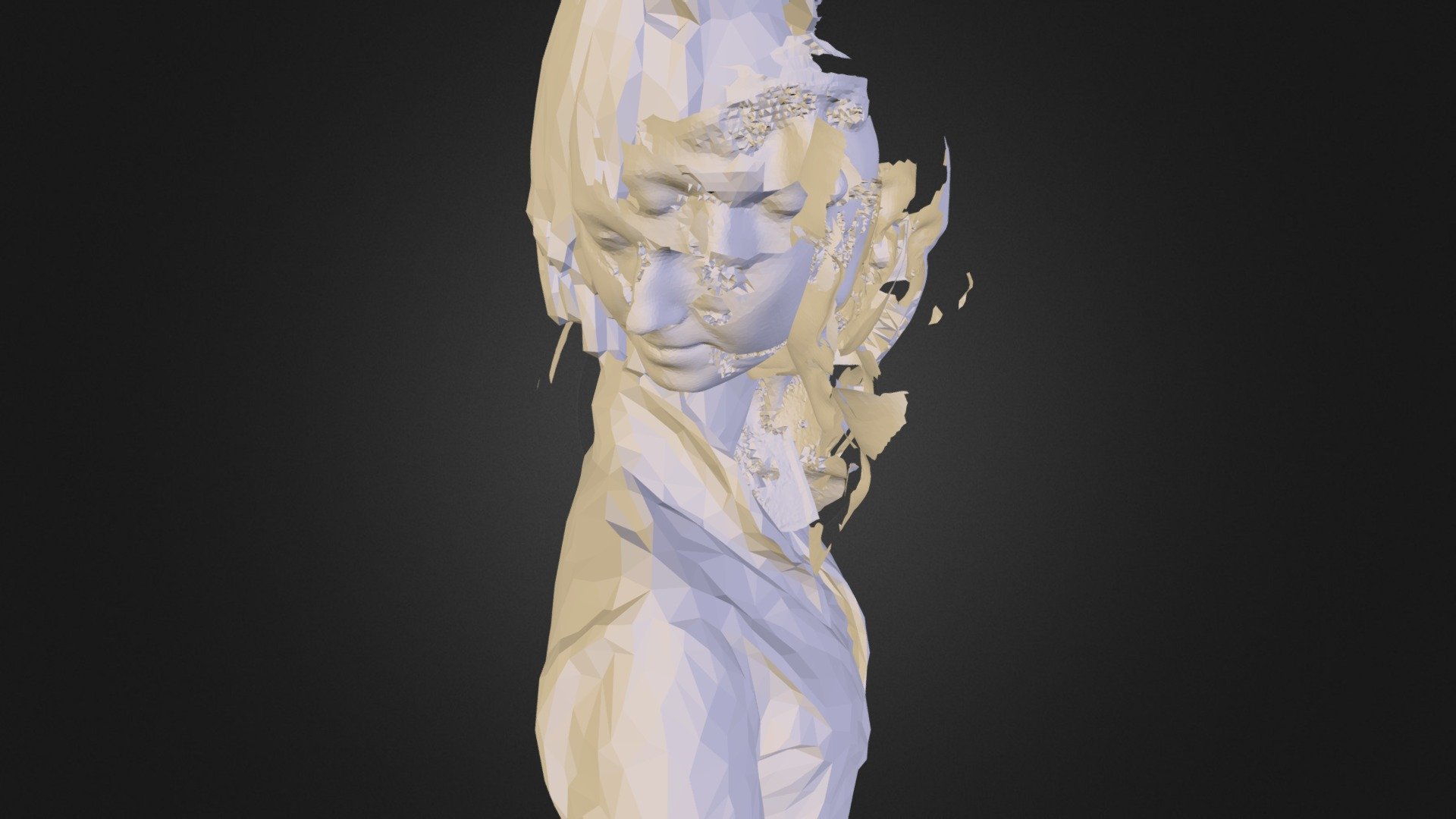 bust with many faces.obj - 3D model by eaveyn [dce13d3] - Sketchfab