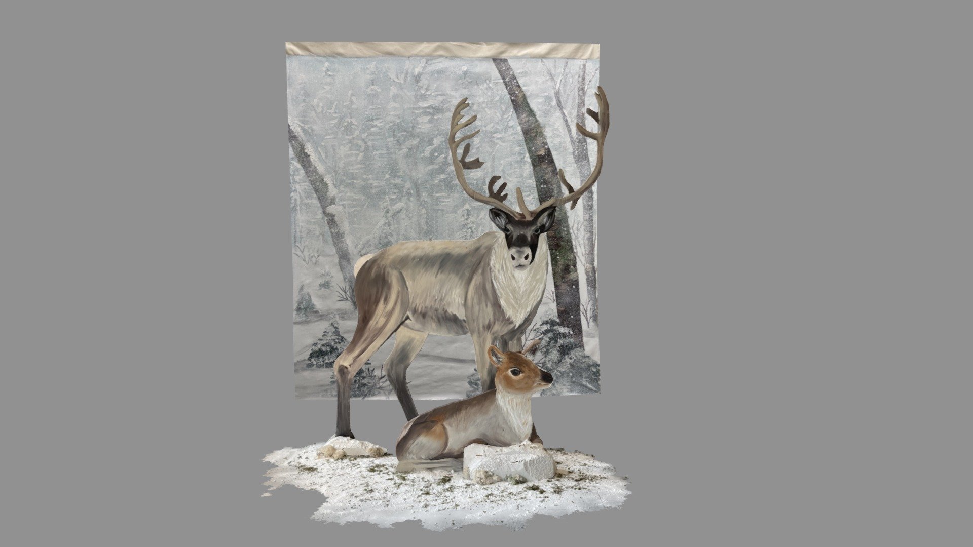 Caribou - 3D model by StacyAnnOliver [dce4790] - Sketchfab