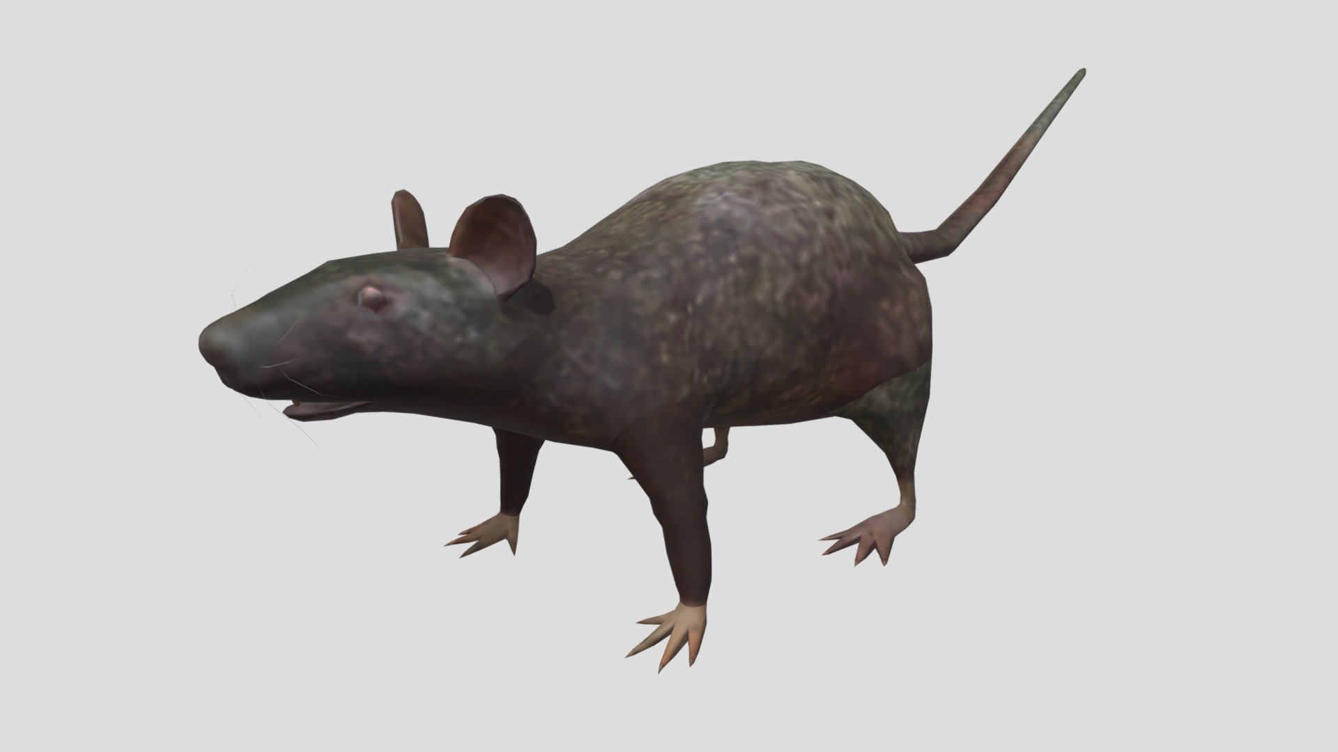 Dead Frontier Bloodied Rat - Download Free 3D model by themultiplayer1 ...