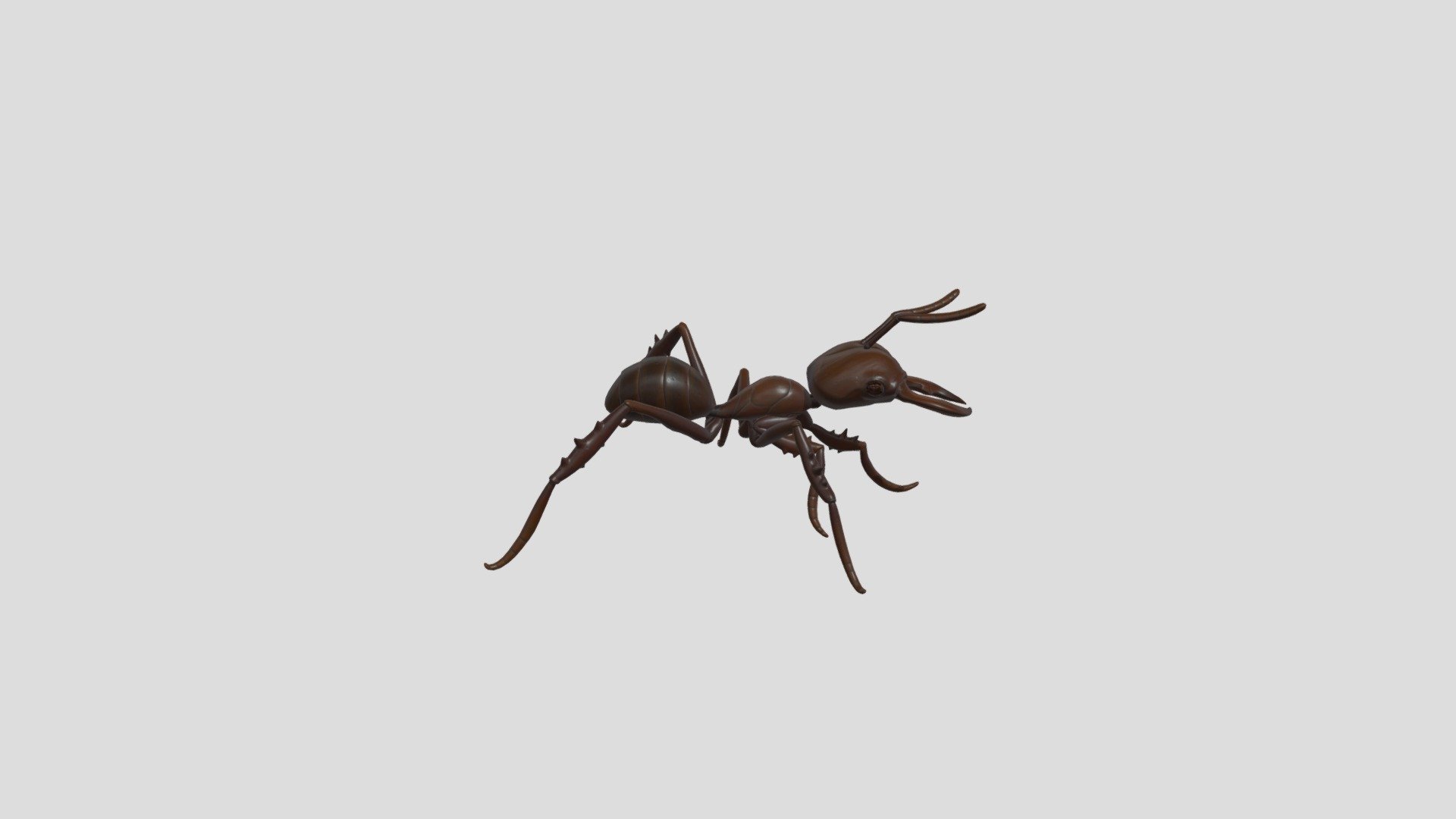 Walking Ant - Download Free 3D model by kenchoo [dcf15f3] - Sketchfab