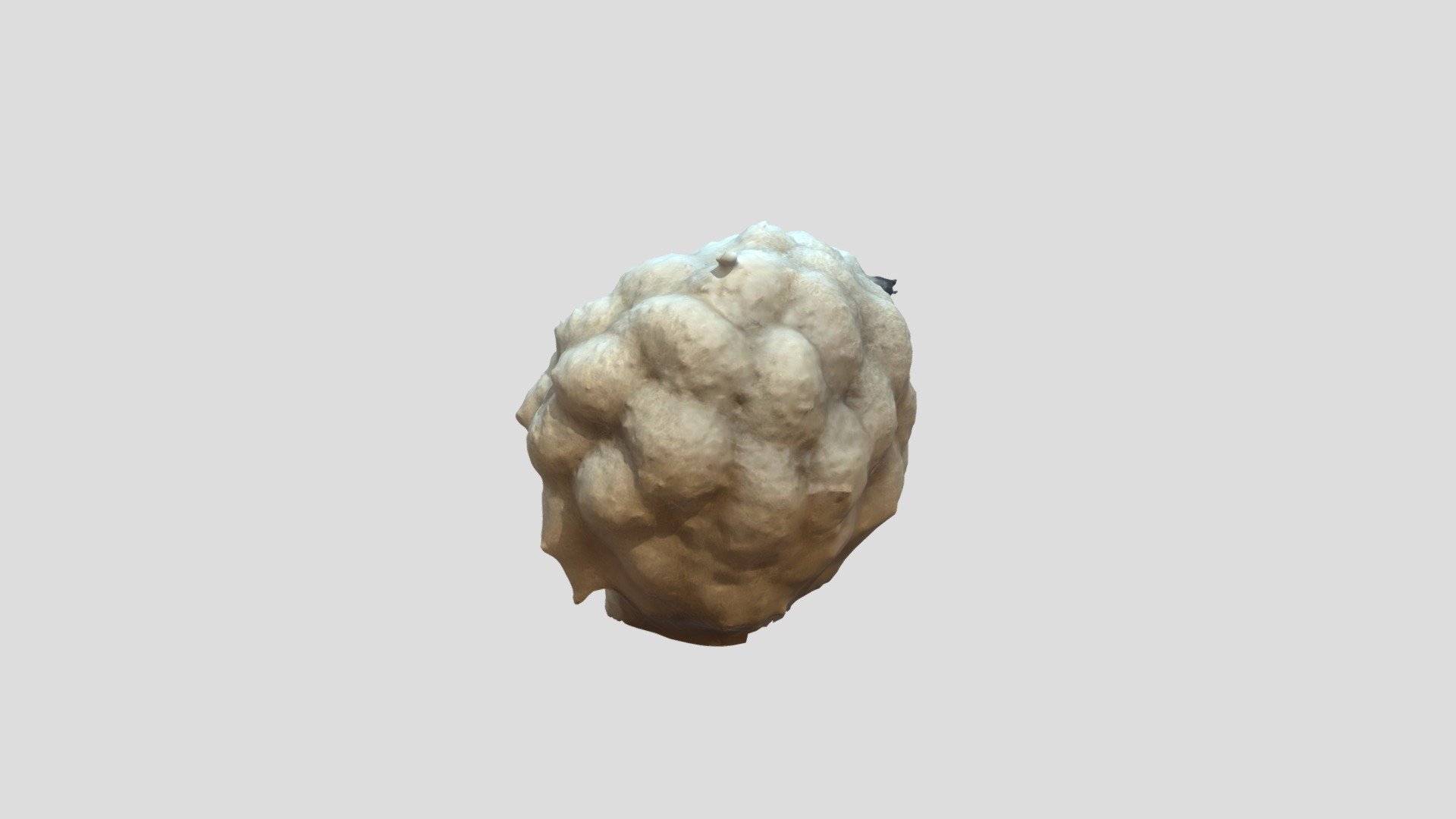Obeja - 3D model by crislagosb [dcf1866] - Sketchfab