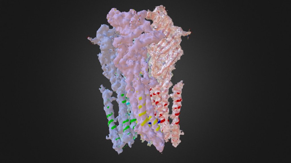 Alpha-1 glycine receptor - NATURE (2015) - Download Free 3D model by ...