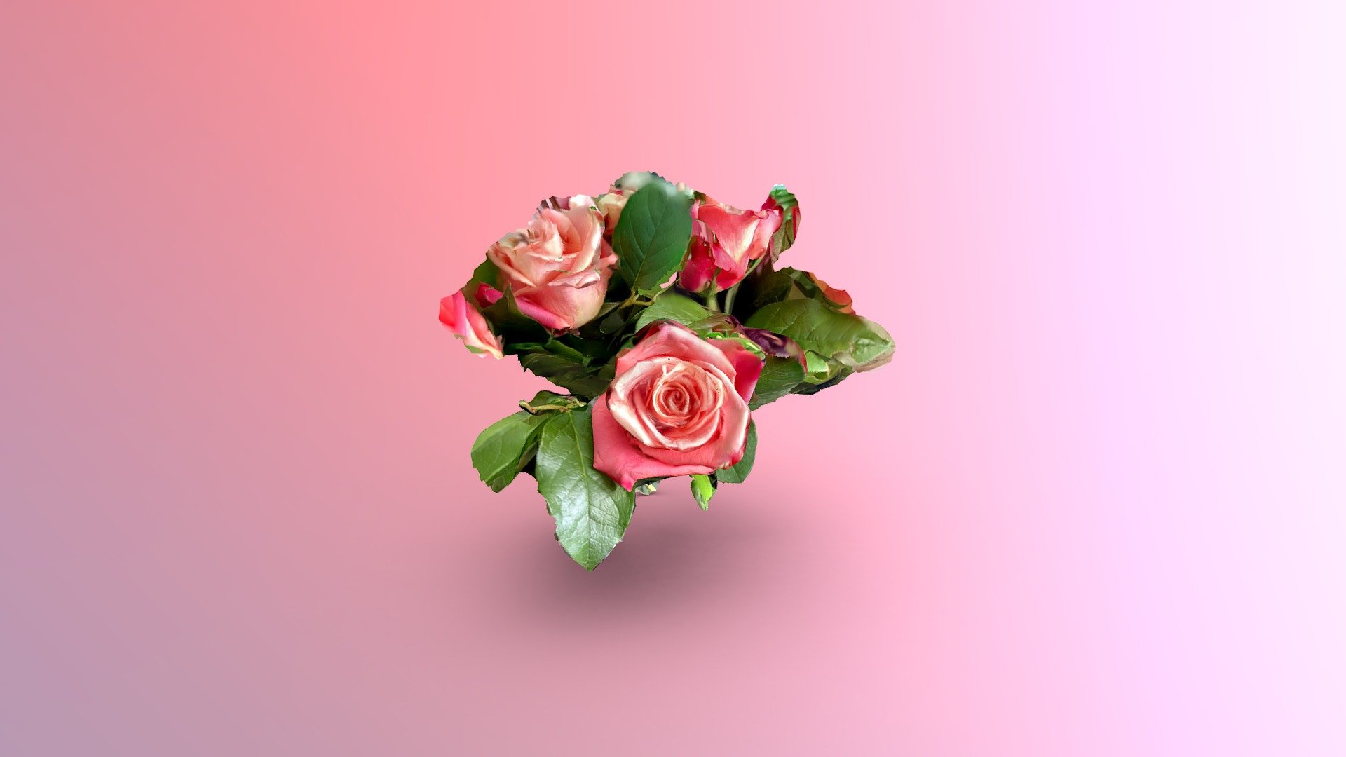 Roos rose - 3D model by SurWdB [dd04345] - Sketchfab