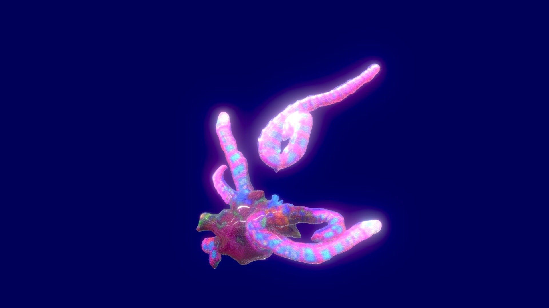Eel 2 - Download Free 3D model by neonatus.exe [dd094c1] - Sketchfab