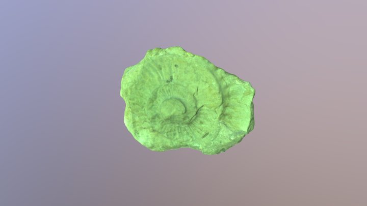 Empreinte 3D models - Sketchfab