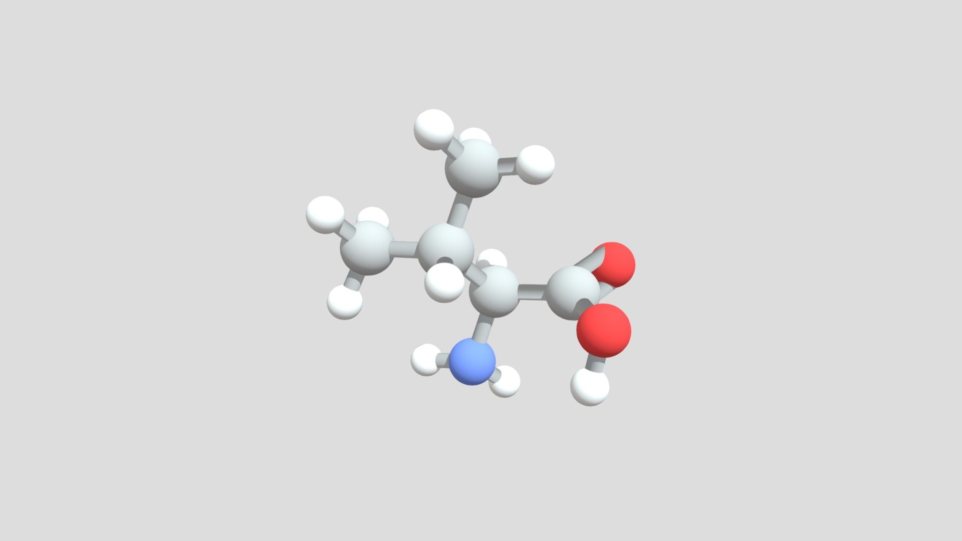 Valine - Download Free 3D model by orgoly [dd0f3b2] - Sketchfab