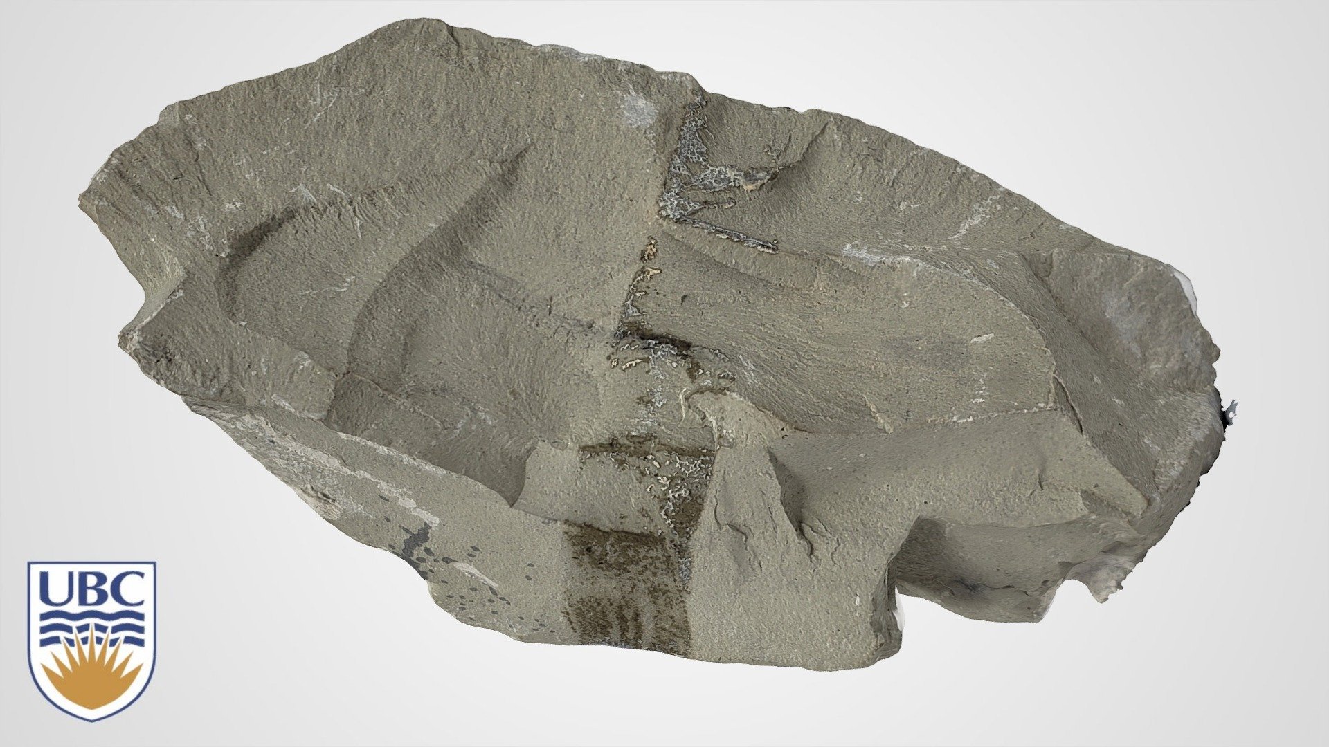Bright Angel Shale representative sample - 3D model by Nichole Moerhuis ...