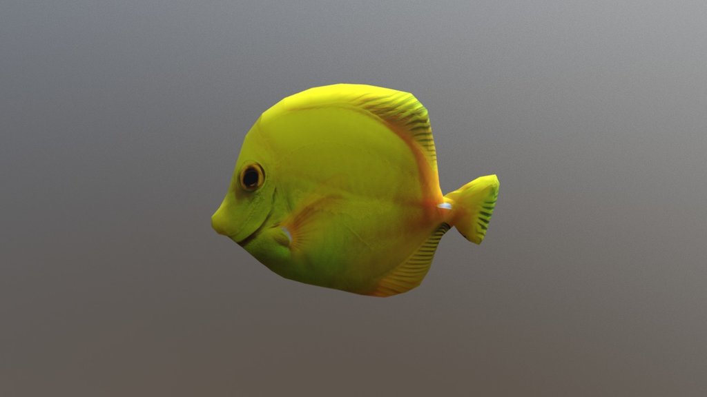 Fishyyy - 3D model by melissa.mavros [dd12935] - Sketchfab