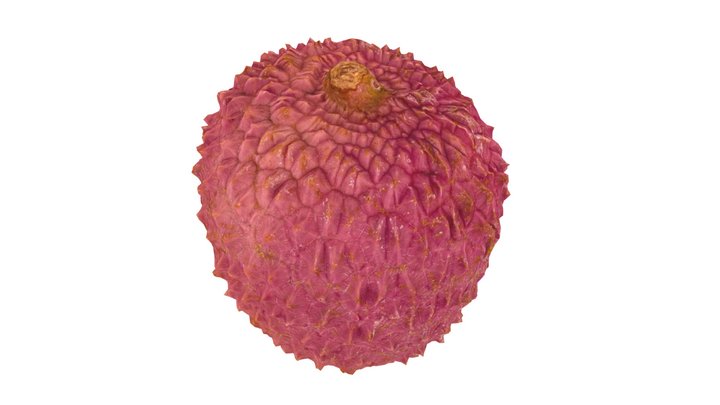 Lychee 3D models - Sketchfab