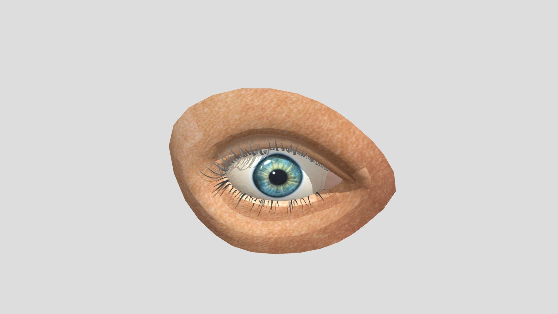 Ojo - Download Free 3D model by diegodltj [dd237de] - Sketchfab