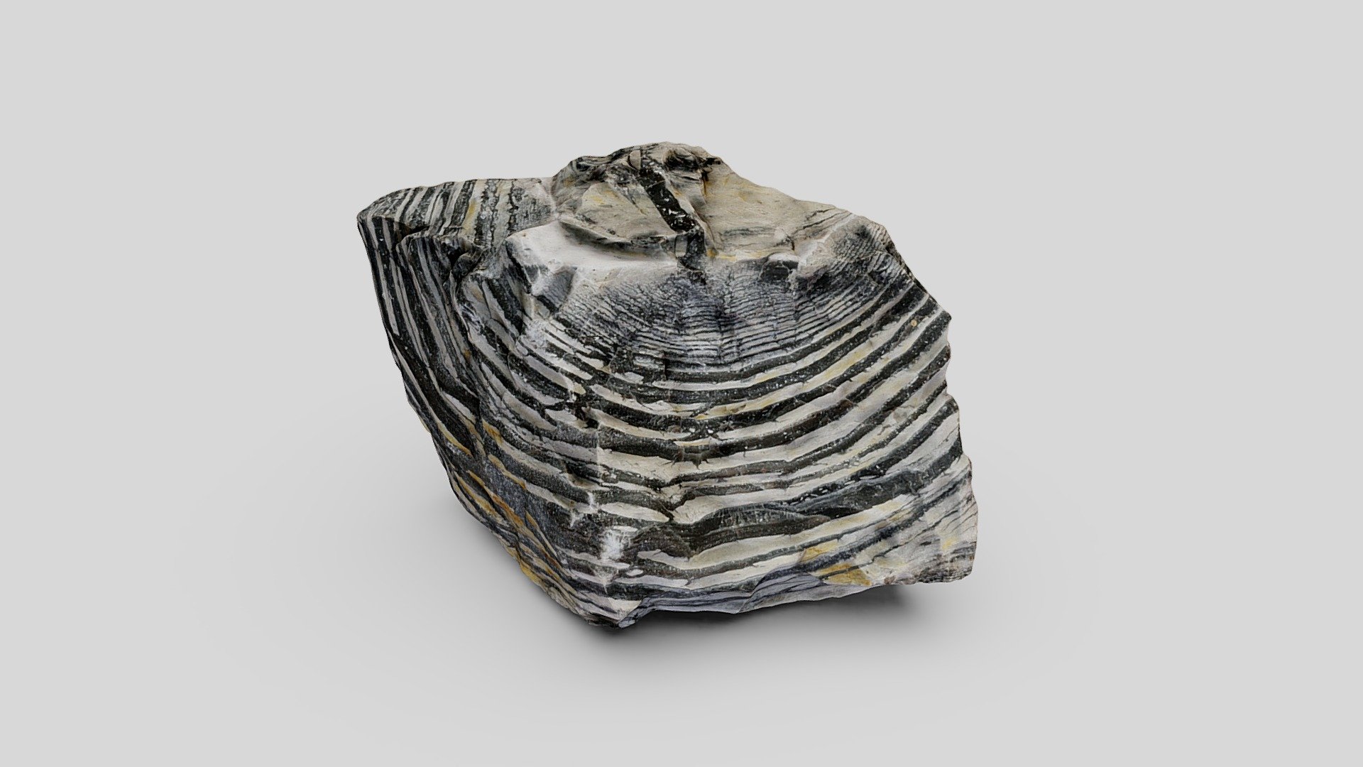 Chert spheroid fragment - 3D model by CSULB Geology (@richard.behl ...