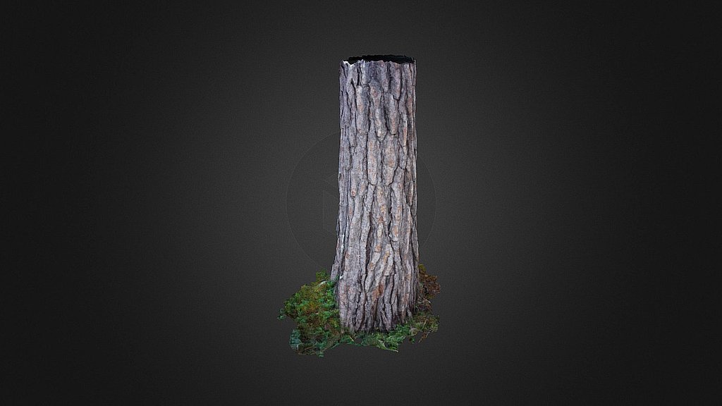 Tree - 3D model by skrapiskrap [dd269a0] - Sketchfab