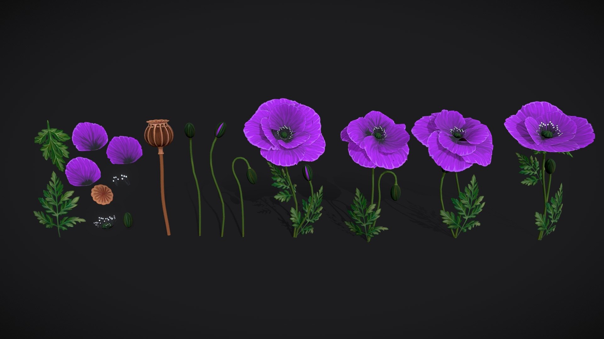 Stylized handpainted Poppy - Buy Royalty Free 3D model by Enkarra ...