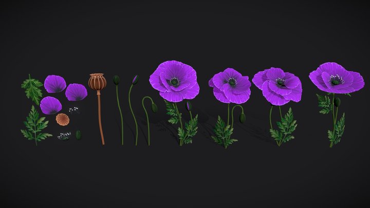 Poppies 3D models - Sketchfab