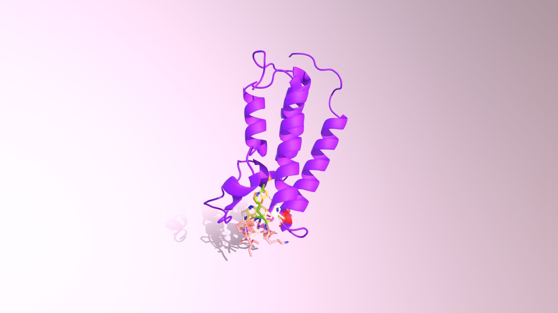 Artificial Cyclic Peptide 3.1C vs Cancer?! - 3D model by peptide ...