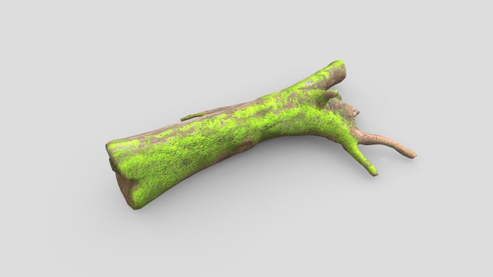 Branch 3D models - Sketchfab