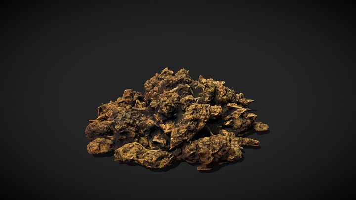 Cannabis 3D models - Sketchfab