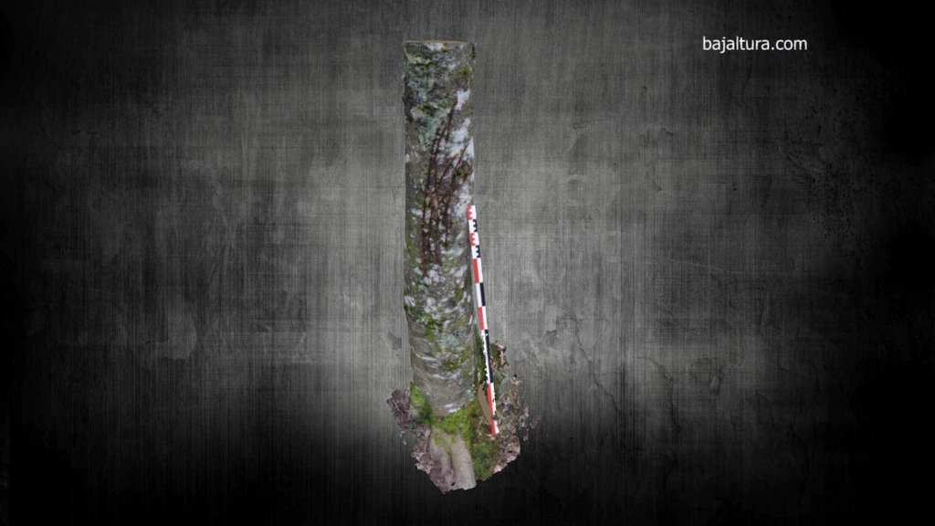 Deer scratching marks - 3D model by bajaltura.com [dd586c4] - Sketchfab